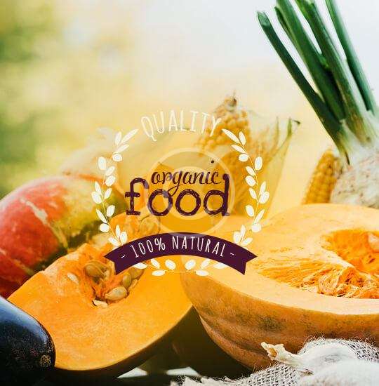 Home 2 – Villa Market – World of Foods